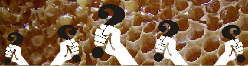 Frequently Asked Questions